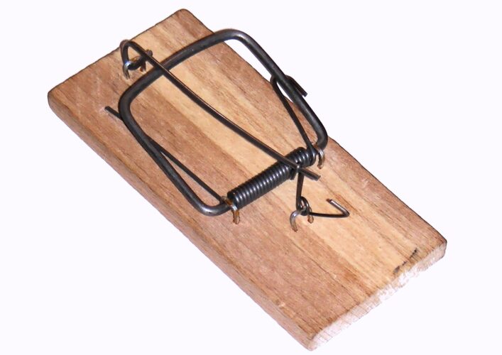 1882 invention from Texas: gun powered mousetrap - Fact Source